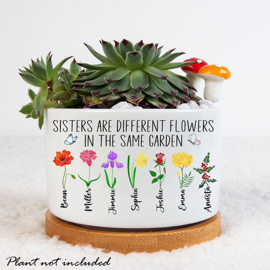 Birth Flower Sisters Plant Pot, Sisters Are Different Flowers From the ...