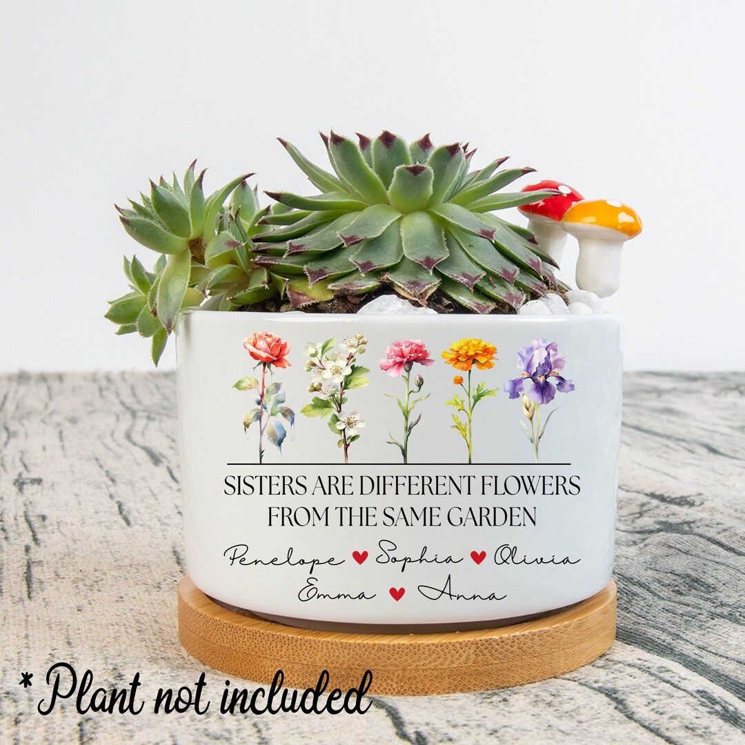 Birth Flower Sisters Plant Pot, Sisters Are Different Flowers From the ...