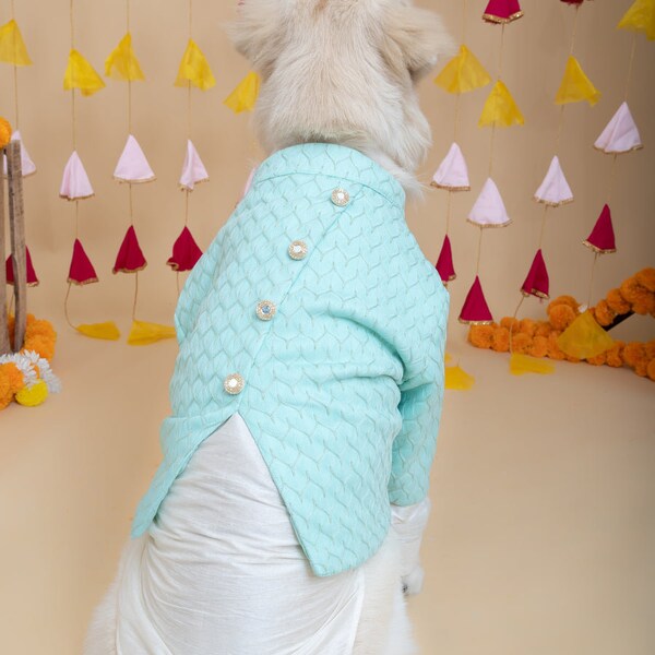 Pets Indian Clothes - Etsy