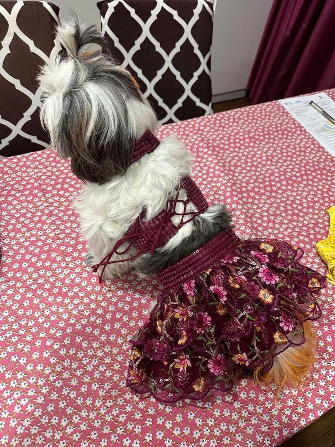 Personalised Lehenga for Dog and Cat, Indian Dog Outfit Handmade ...