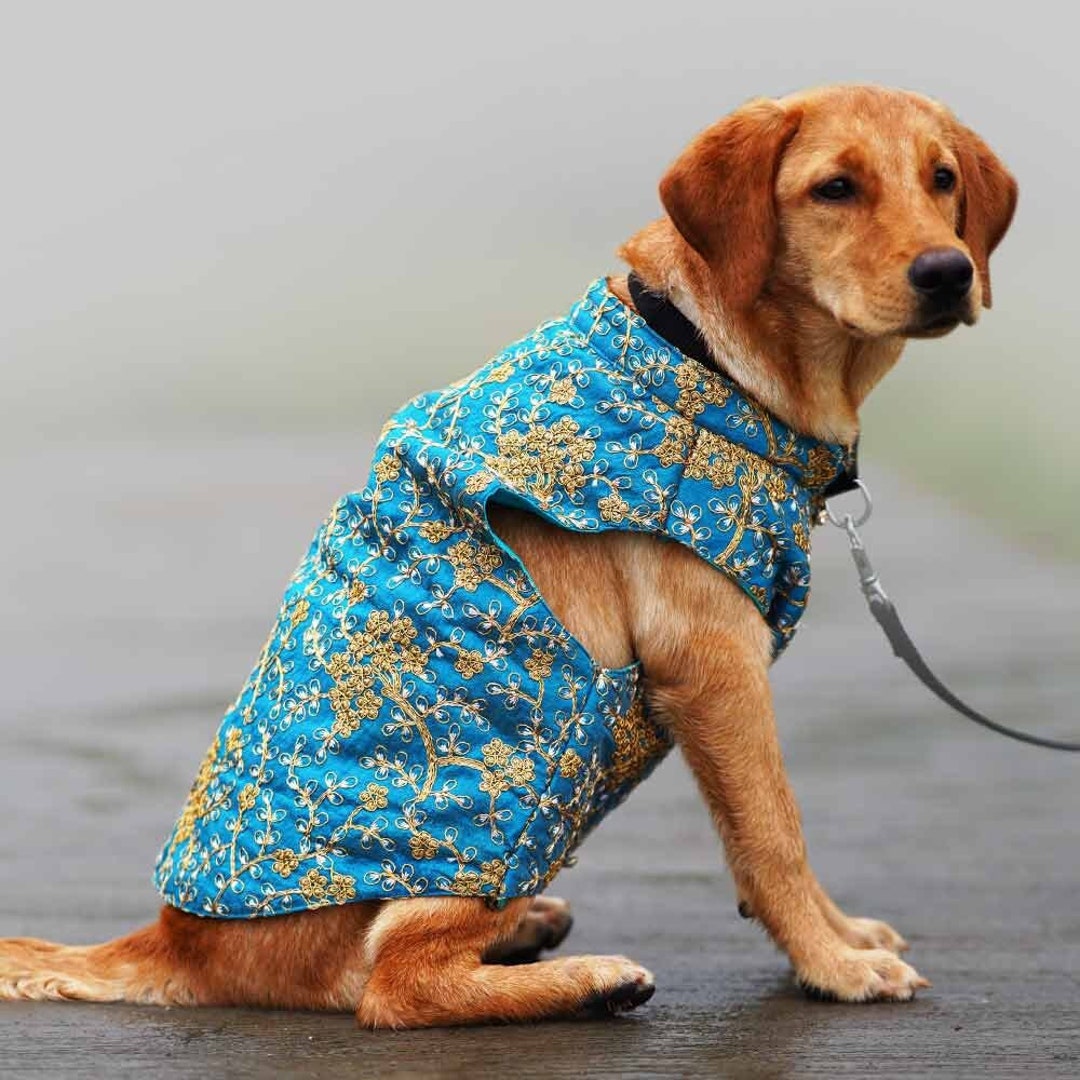Sherwani for Dog & Cat Indian Dog Outfit Desi Dog Outfit, Dog Outfit ...