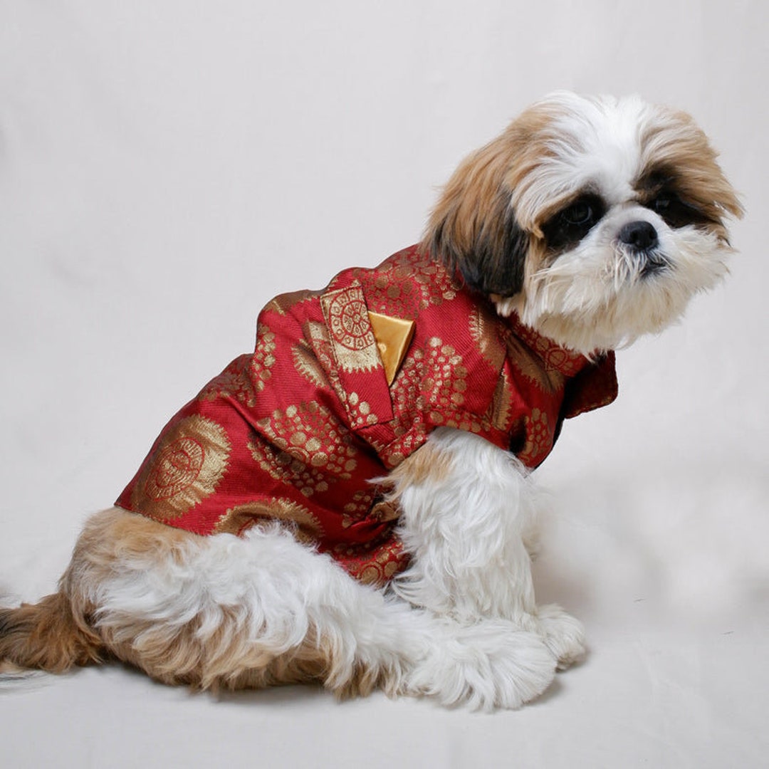 Sherwani for Dog & Cat Indian Dog Outfit Desi Dog Outfit, Dog Outfit ...