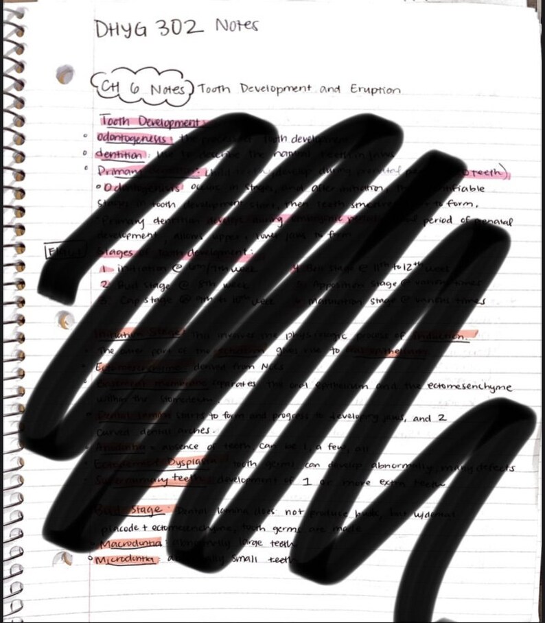 Dental Embryology, Histology, Anatomy Notes CH 9-11 - Etsy