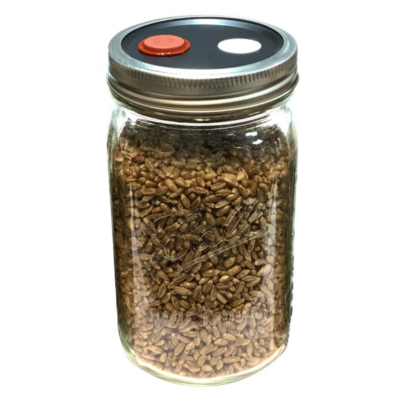 Grain Spawn Jar Quart for Mushroom Cultivation W/1lb - Etsy
