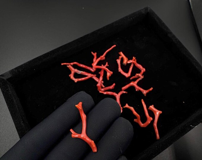 Natural Beautiful Genuine Red Coral Mix Lot Tree Raw Coral High Quality ...