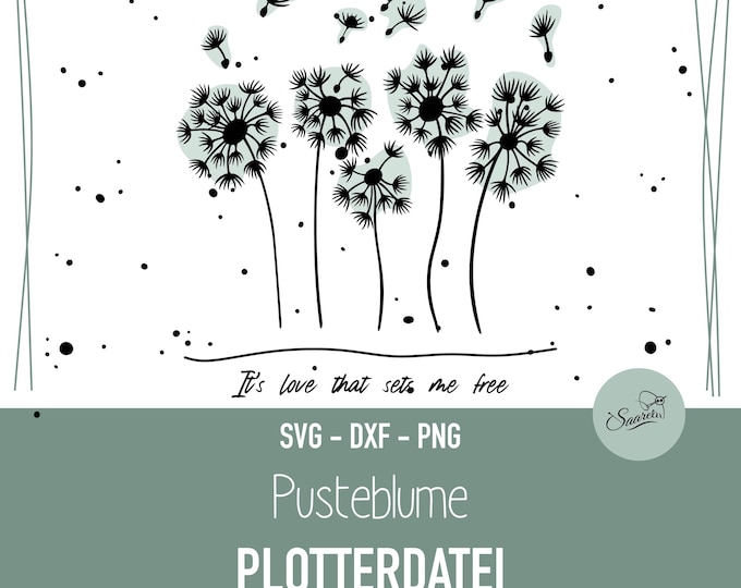 Plotterdatei Bundel Gänseblümchenwiese mit 62 Elementen - SVG, DXF u ...