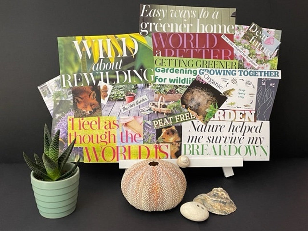 Vision Board NATURE - 200 Plus Themed, Printable Images, Phrases, and ...