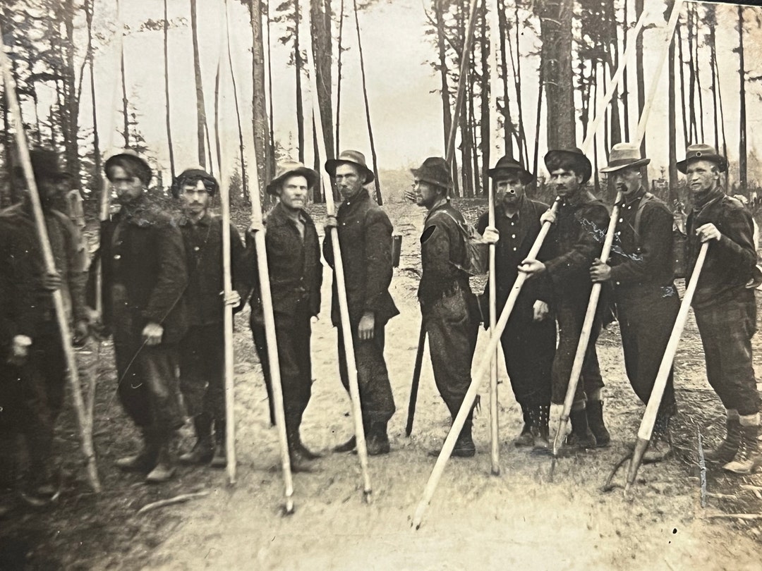 Lumberjack Loggers 5 Handsome Men at Work Gay Interest Antique/ Vintage ...