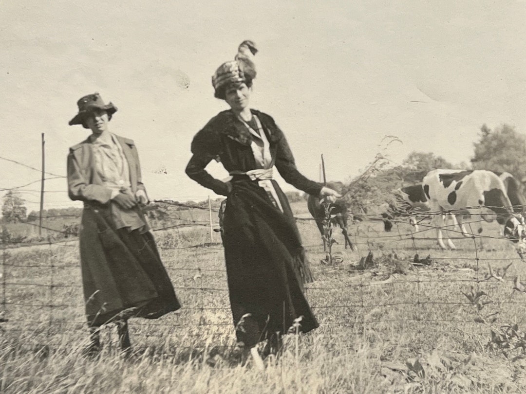Heifers With the Heifers! Flappers on the Farm! - Antique/ Vintage ...