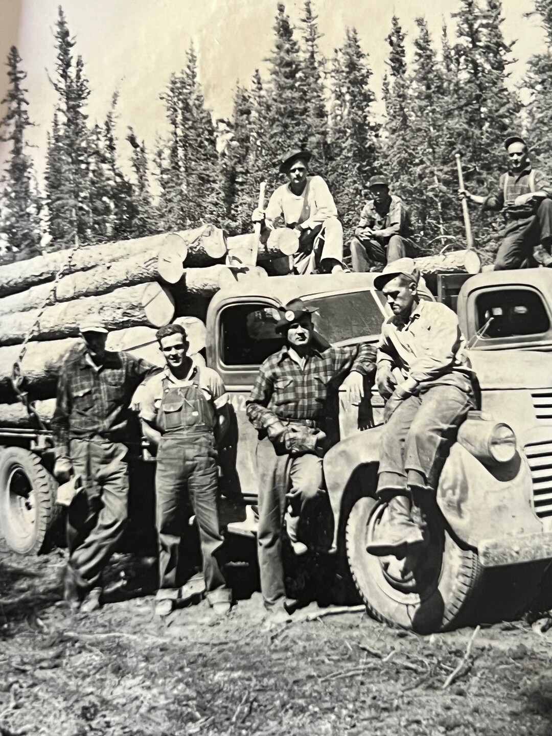 Lumberjack Loggers #2 ! Handsome Men at Work! Gay Interest! - Antique ...