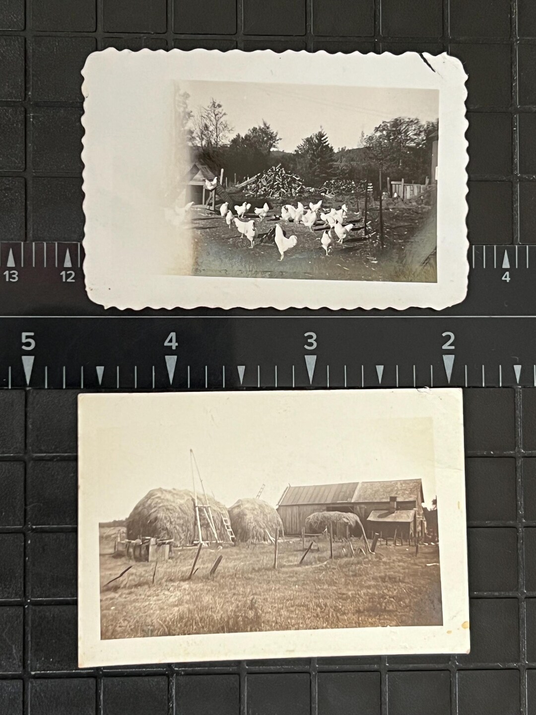 Farmhouse Days! Chickens and Haystacks at the Barn! Country Folk Life ...