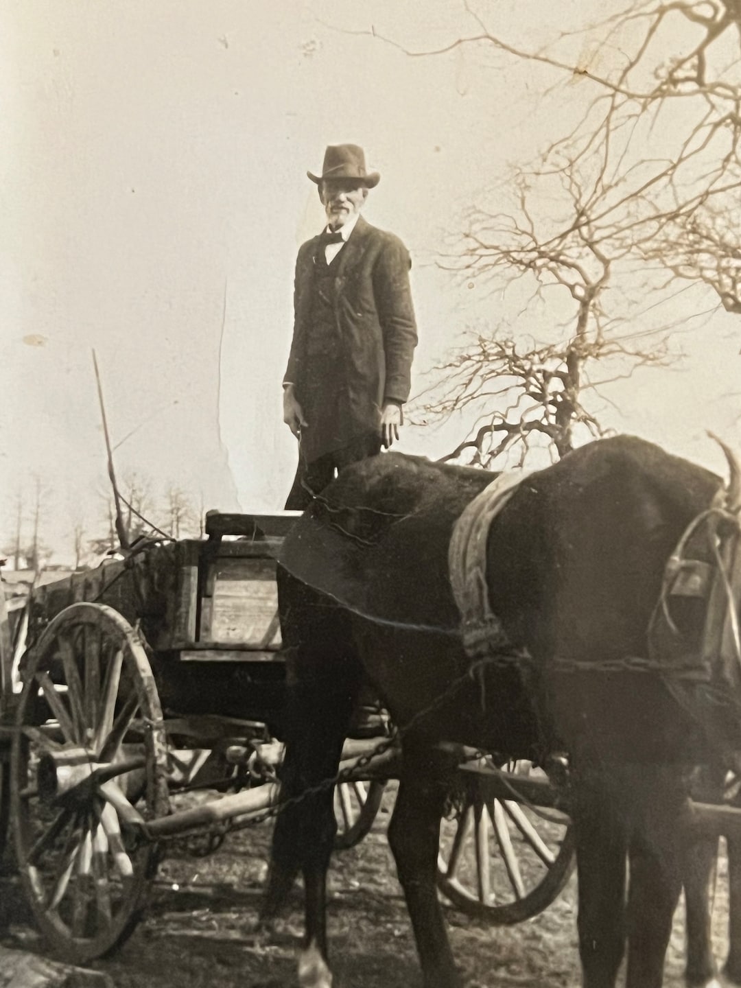 The Undertaker! Cowboy Man Stands Hauntingly in Wagon! - Antique ...
