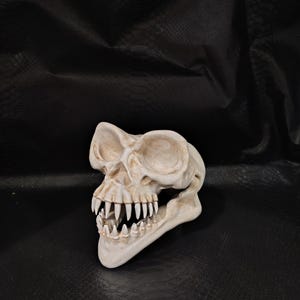 Gremlins Skull Life Size - Etsy