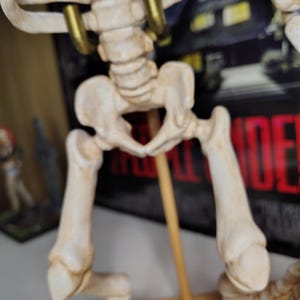 Gremlins Skeleton 1:2 Scale Custom Display Figure - Etsy