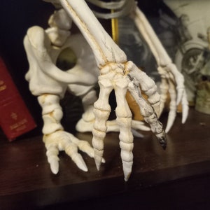 ET Skeleton, Alien Movie Prop Figure - Etsy