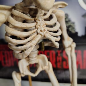 Gremlins Skeleton 1:2 Scale Custom Display Figure - Etsy