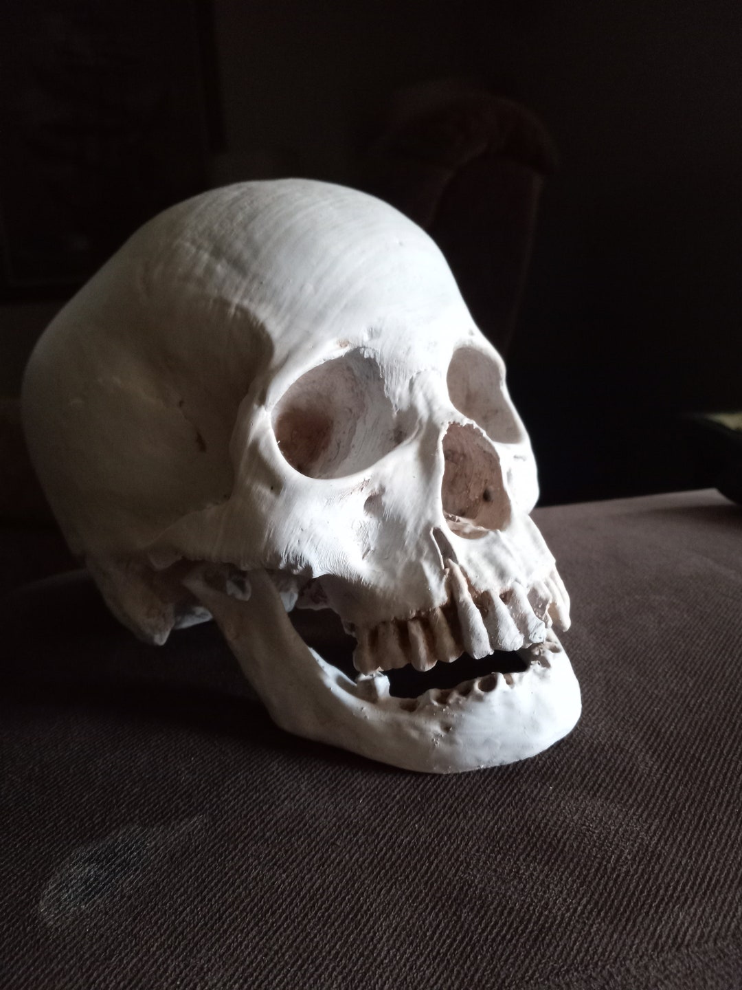 Human Skull Realistic Life Like Bone Display Decoration, Life Sized ...