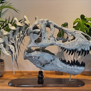 Giant T-rex Skull Replica: 110cm - 43-inch Collector Piece on Wooden ...