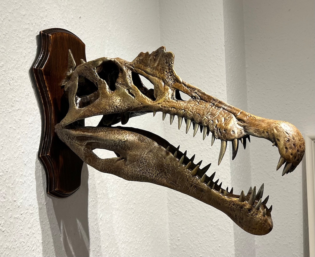 Wallmounted Spinosaurus Aegyptiacus 1915 Skull Replica Sculpture in ...