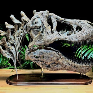 Giant T-rex Skull Replica: 110cm - 43-inch Collector Piece on Wooden ...