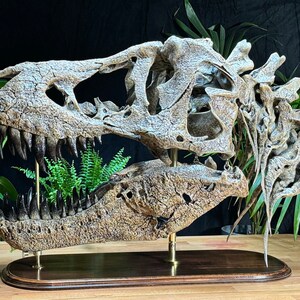 Giant T-rex Skull Replica: 110cm - 43-inch Collector Piece on Wooden ...