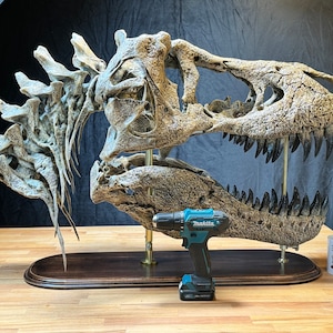Giant T-rex Skull Replica: 110cm - 43-inch Collector Piece on Wooden ...