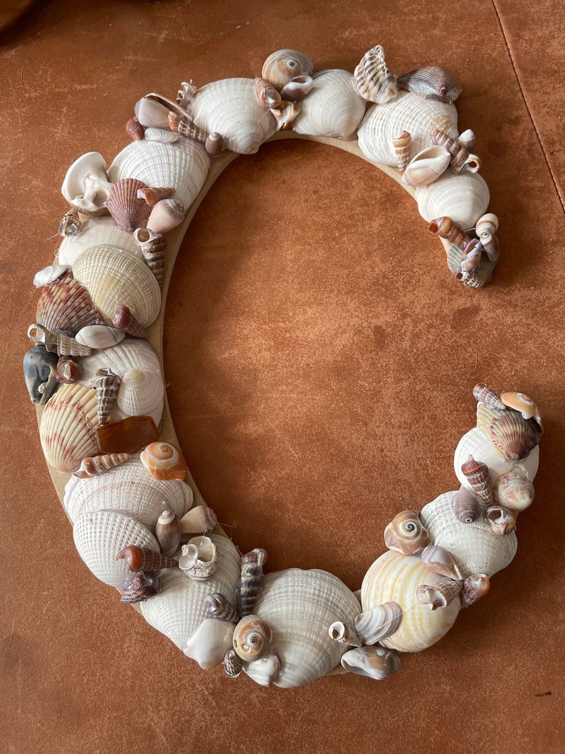 Shell Creations - Etsy