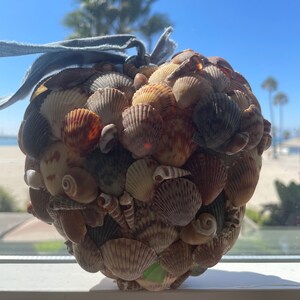 Shell Creations - Etsy