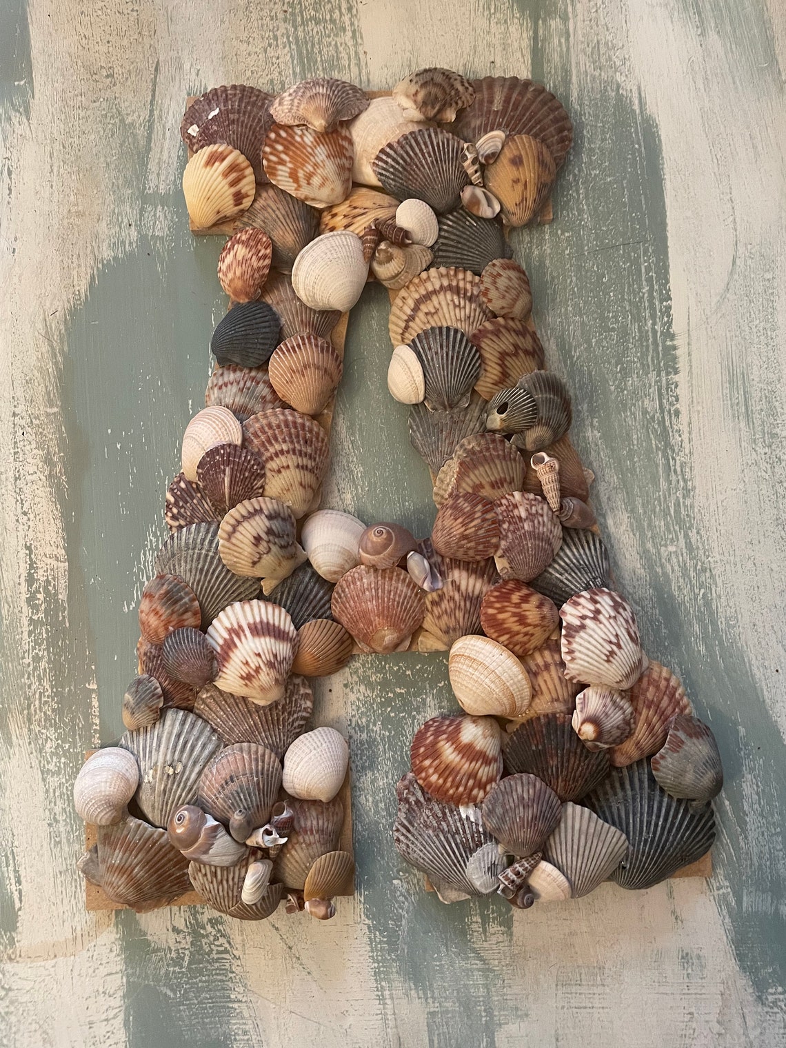Shell Creations - Etsy