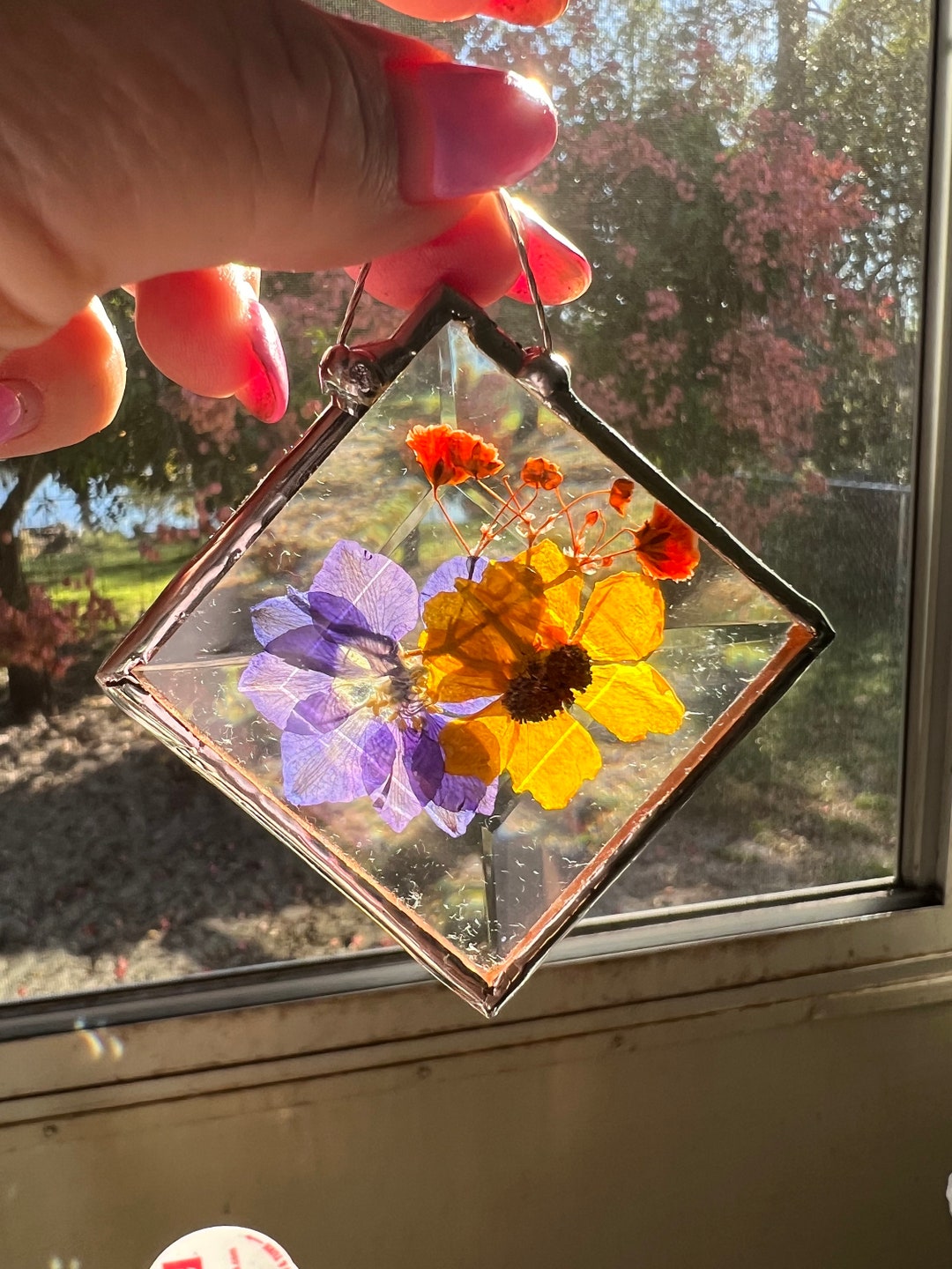 Beveled Glass Lightcatcher With Dried Flowers - Etsy