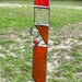 Glass Bubble Cascade - Etsy