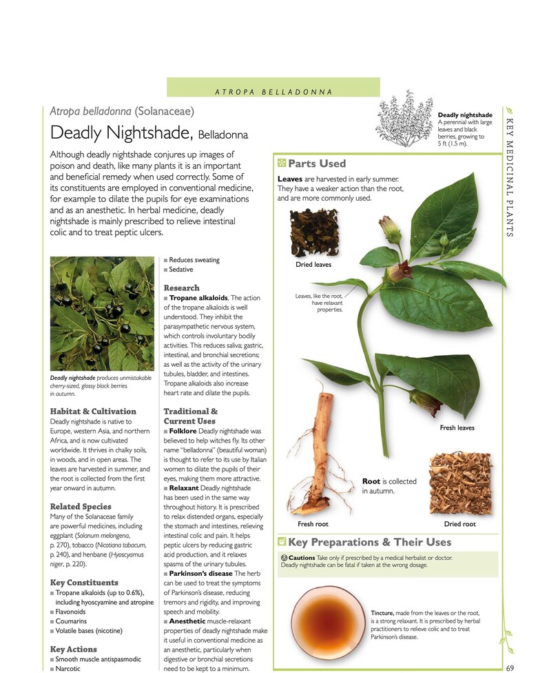 All About Herbal Medicine | an Illustrated Encyclopedia | PDF Book ...