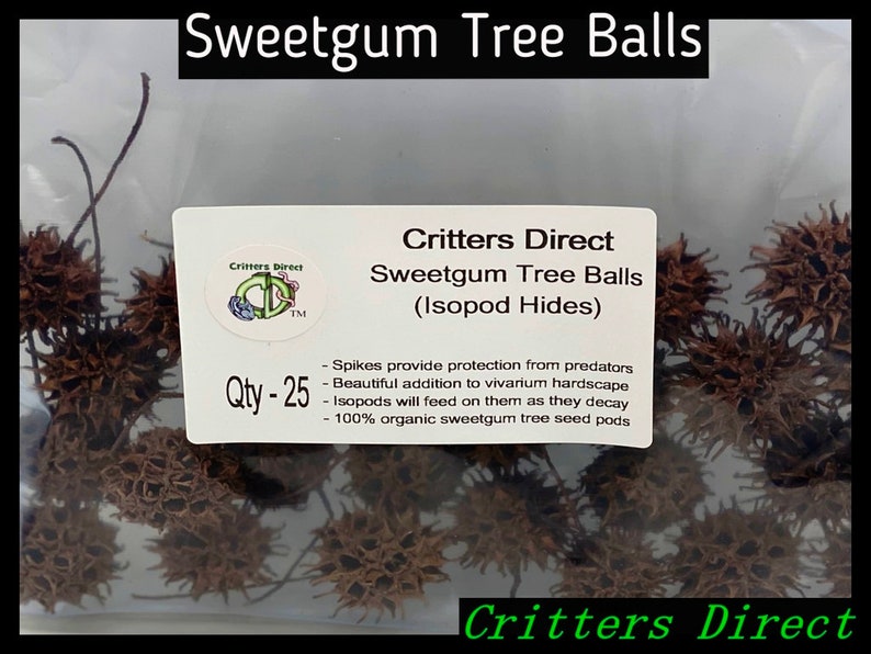 Sweetgum Tree Balls - Etsy