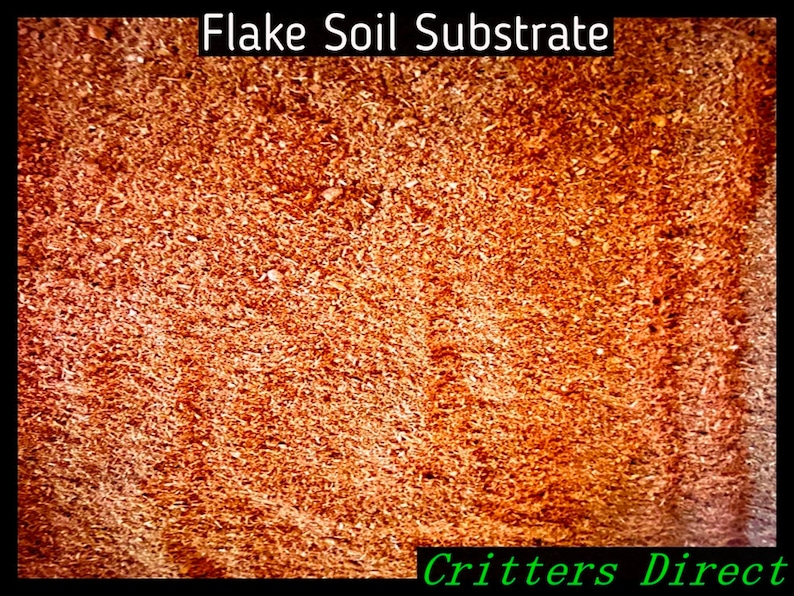 Flake Soil, Premium Beetle, Isopod and Millipede Substrate - Etsy