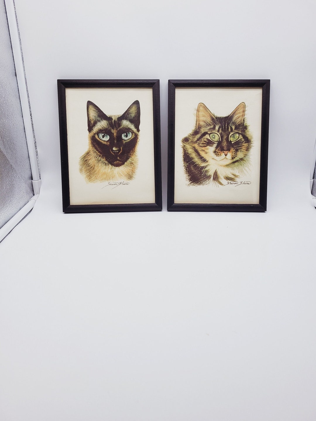 Vintage Sharon Blaine Cat Prints 1950 Set of Two Cat Prints Framed - Etsy