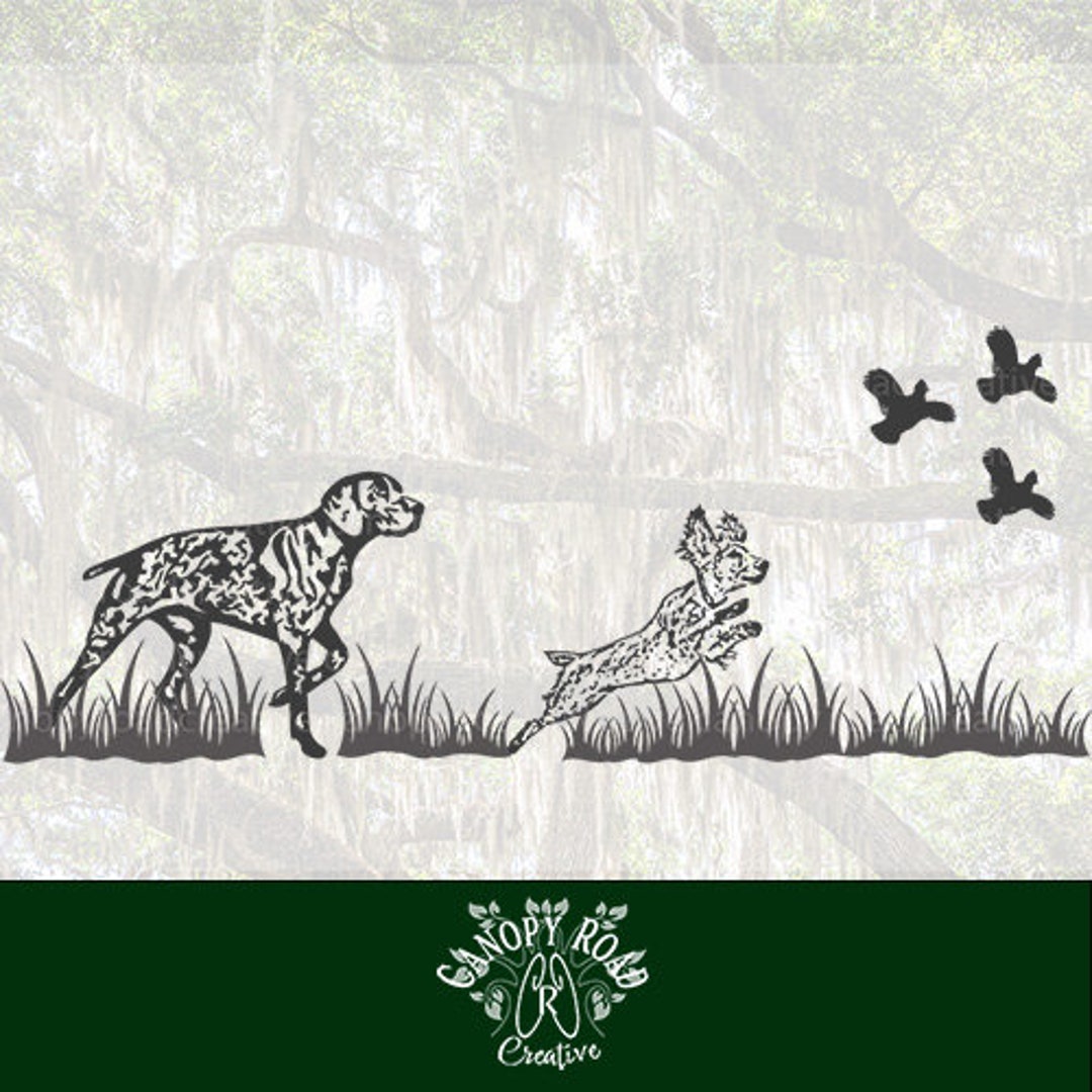 German Shorthair Pointer and Spaniel Quail Hunt - Etsy