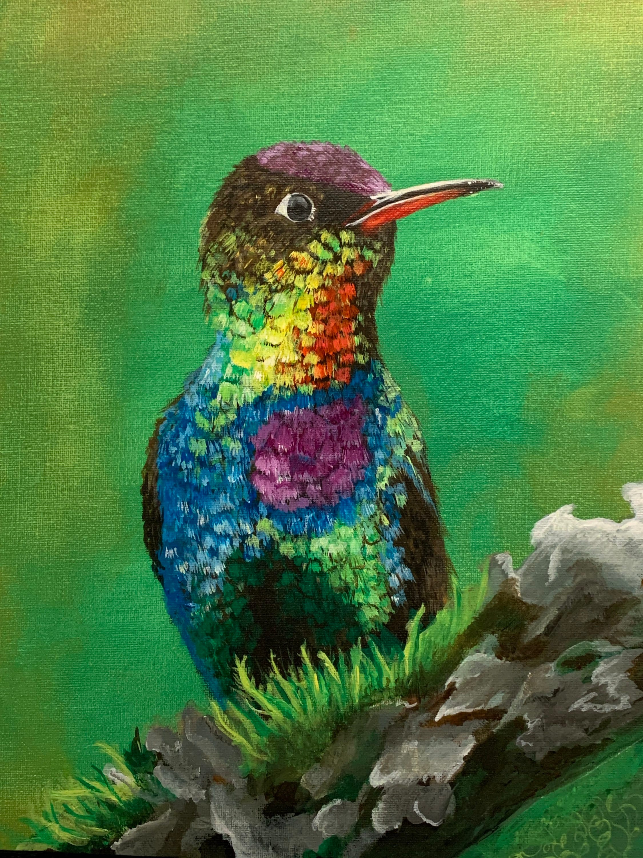 Rainbow Hummingbirds