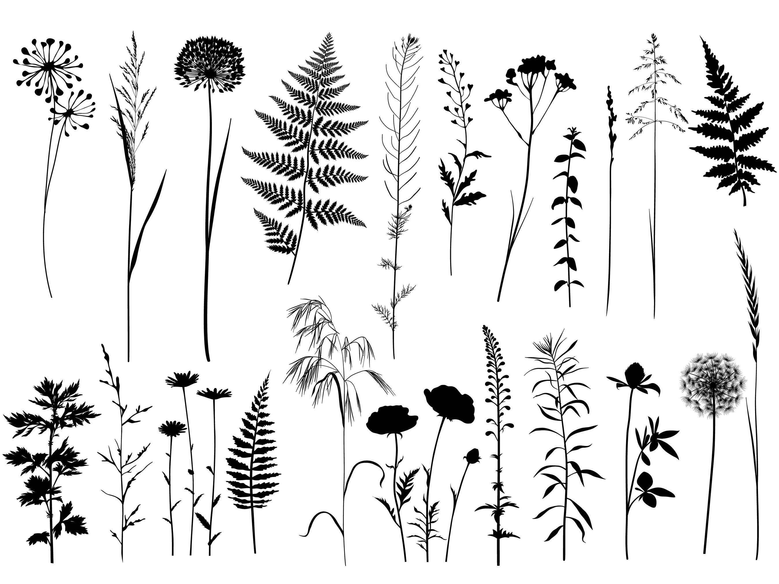 Wildflower SVG Wildflowers Svg Bundle Bouquet SVG Floral - Etsy Canada