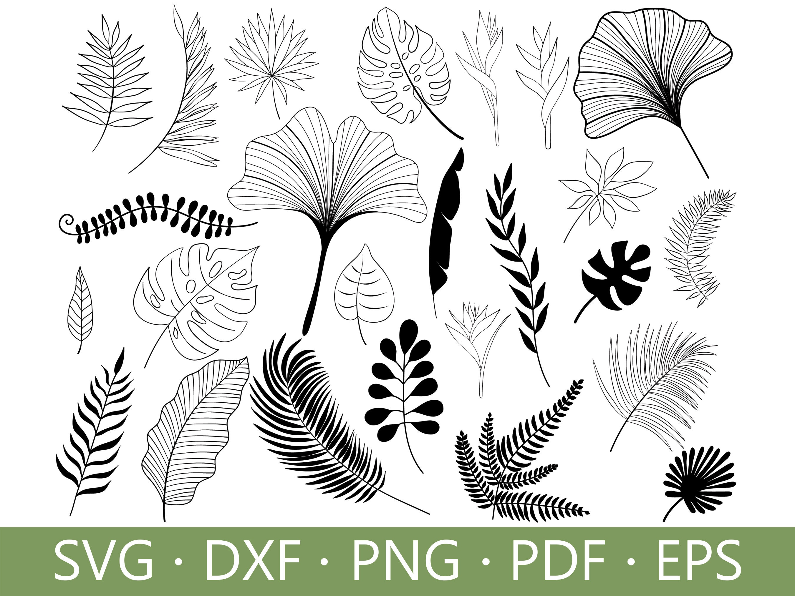 Tropical Leaves SVG, Leaves Svg Bundle, Greenery Svg, Leaf SVG, Hand ...