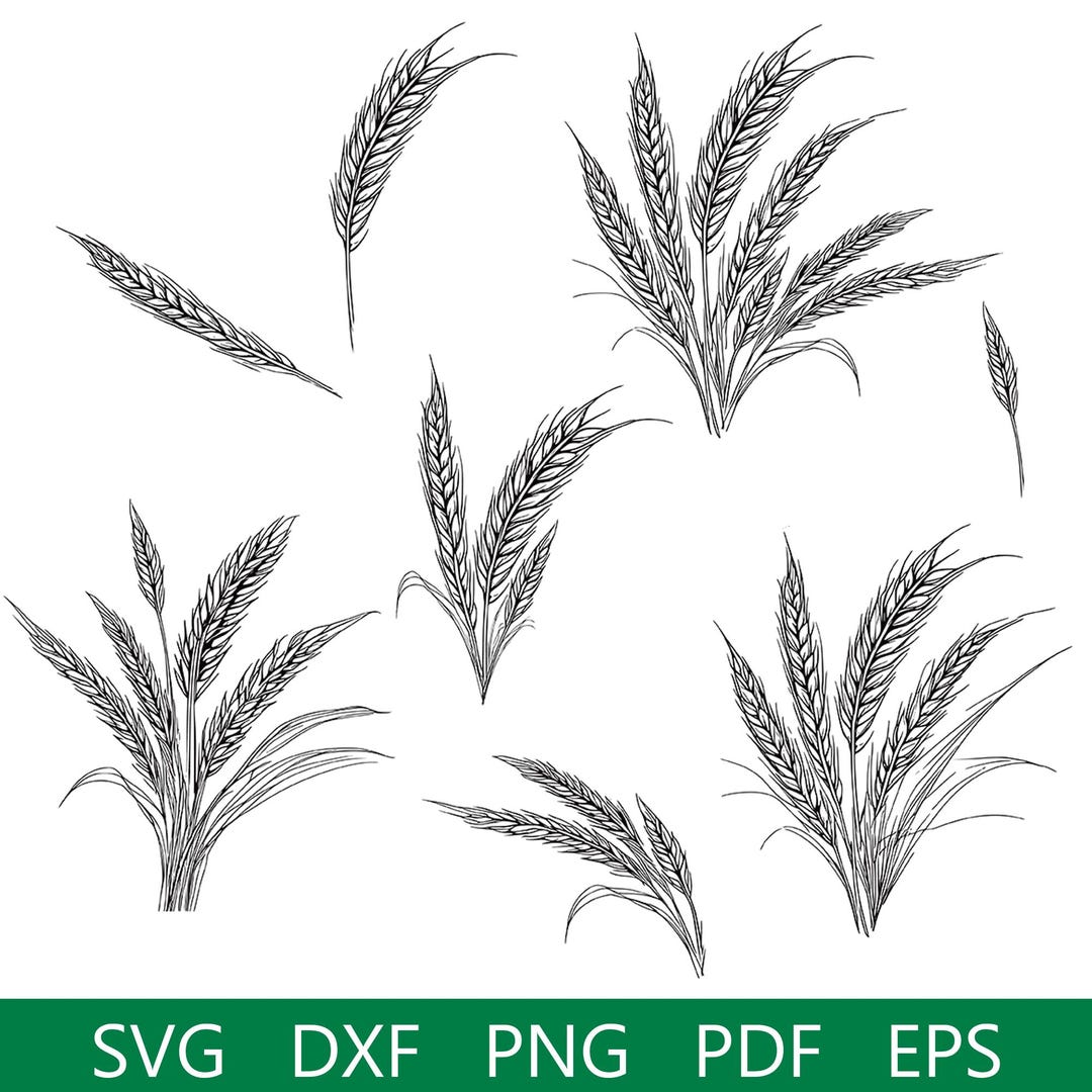Wheat SVG Bundle: Grain Clipart, Barley PNG, Cut Files for Cricut ...