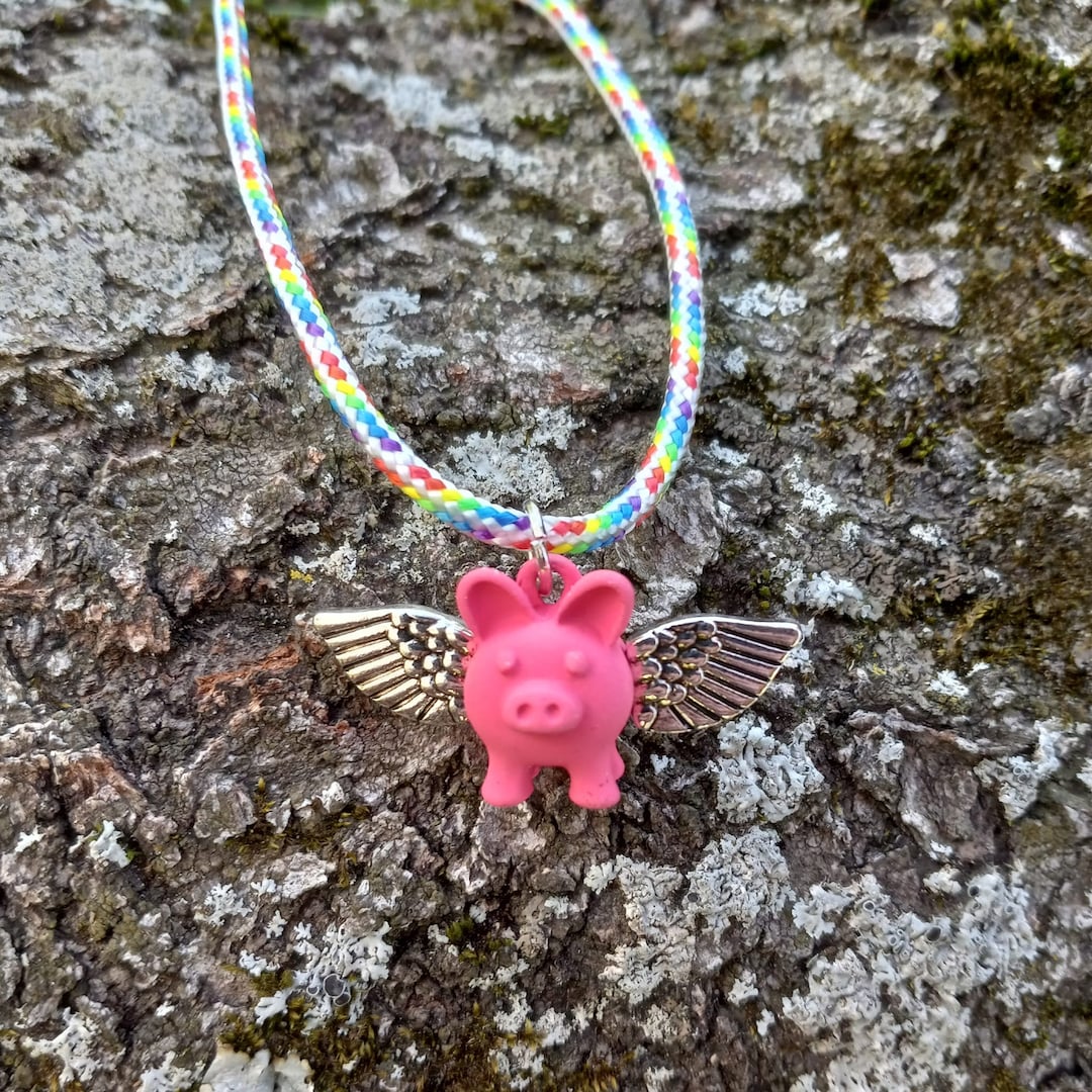 When Pigs Fly Adjustable Sliding Knot Rainbow Paracord Necklace - Etsy