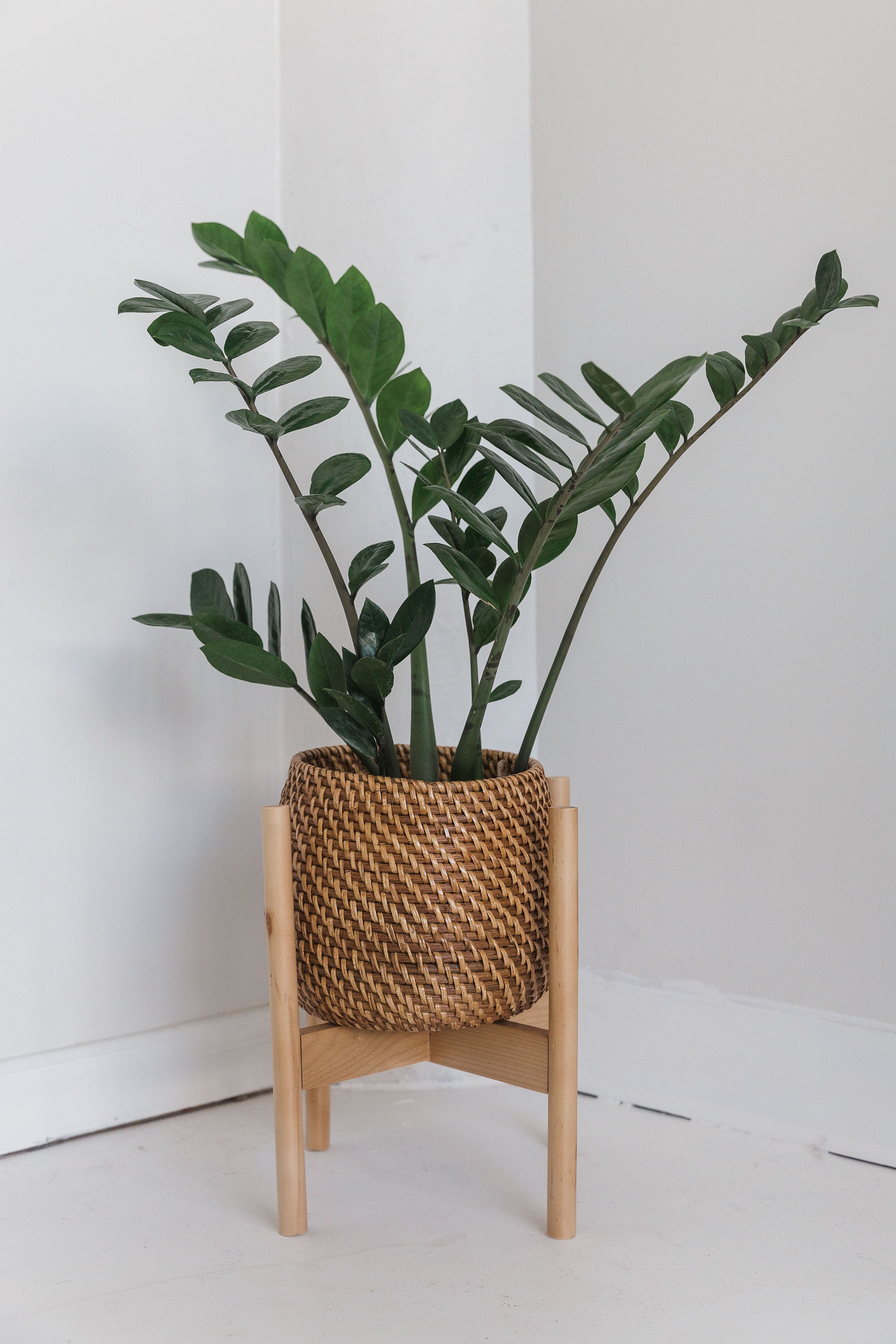 Olla Handmade Rattan Plant Pot Set of 2 - Etsy