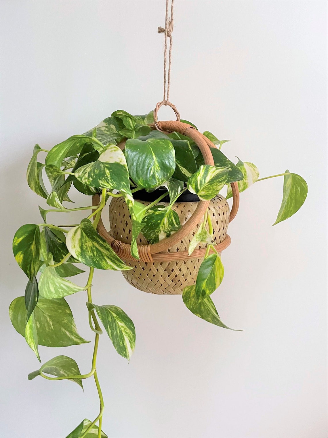 Rattan Hanging Indoor Planter Plant Hanger Handmade | Etsy