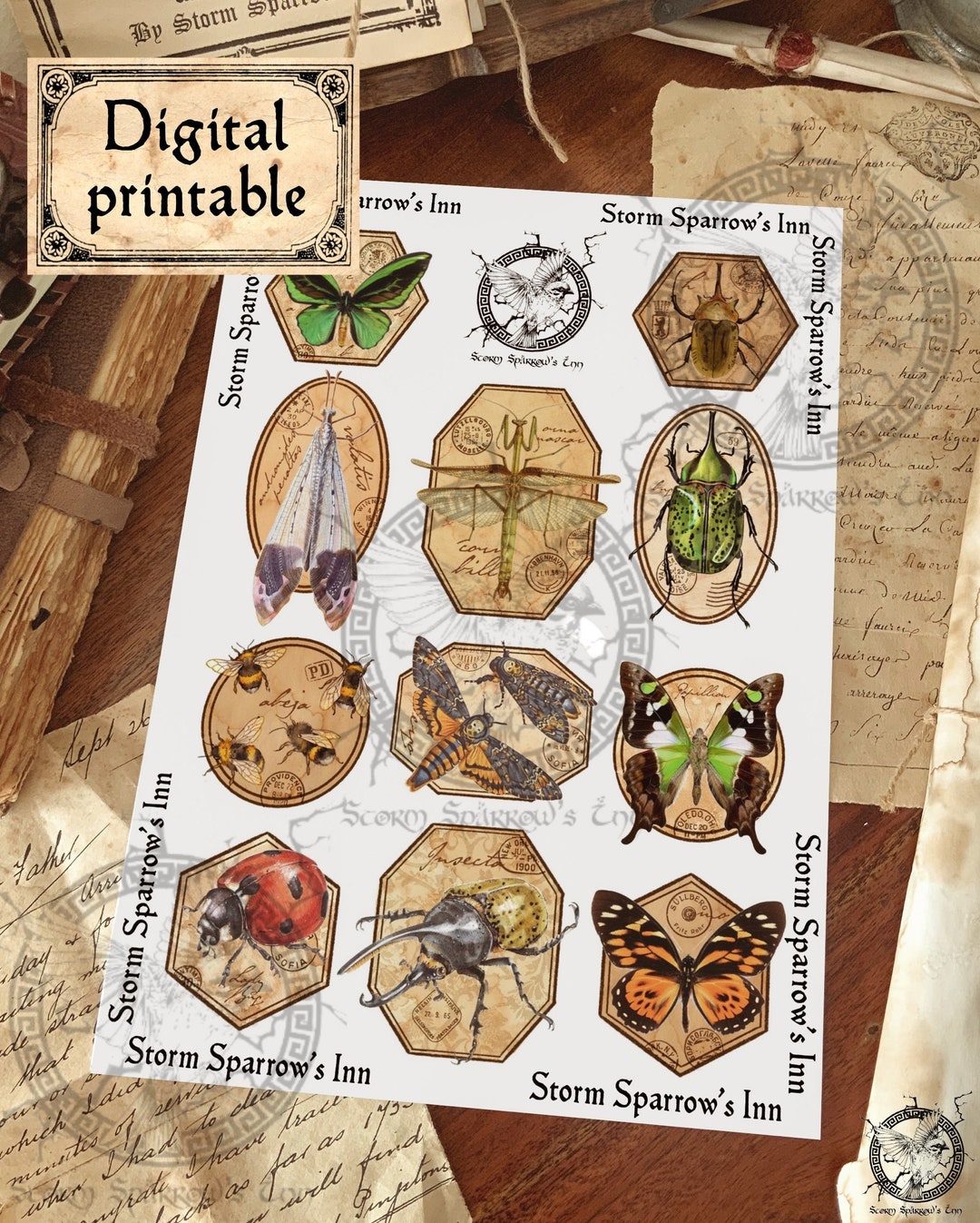 Insect Galore Printable - Etsy