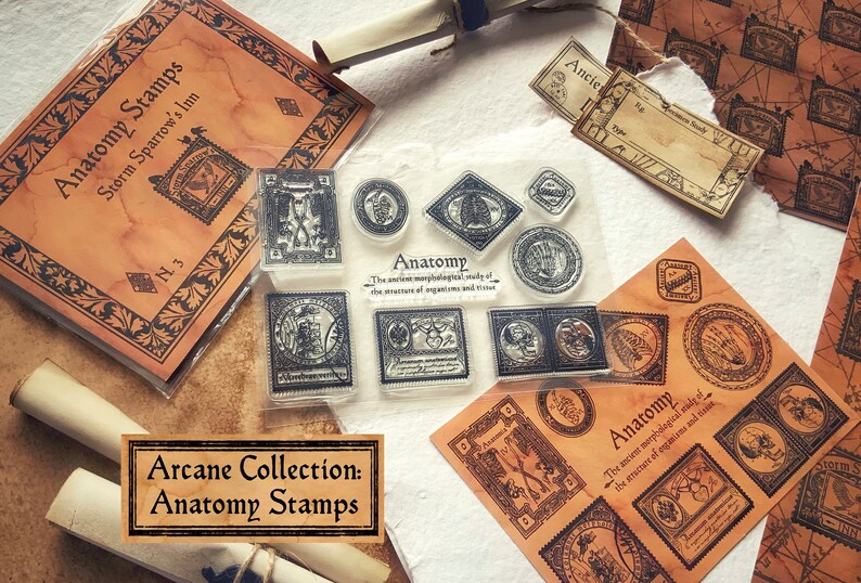 Ancient Anatomy Collection - Etsy