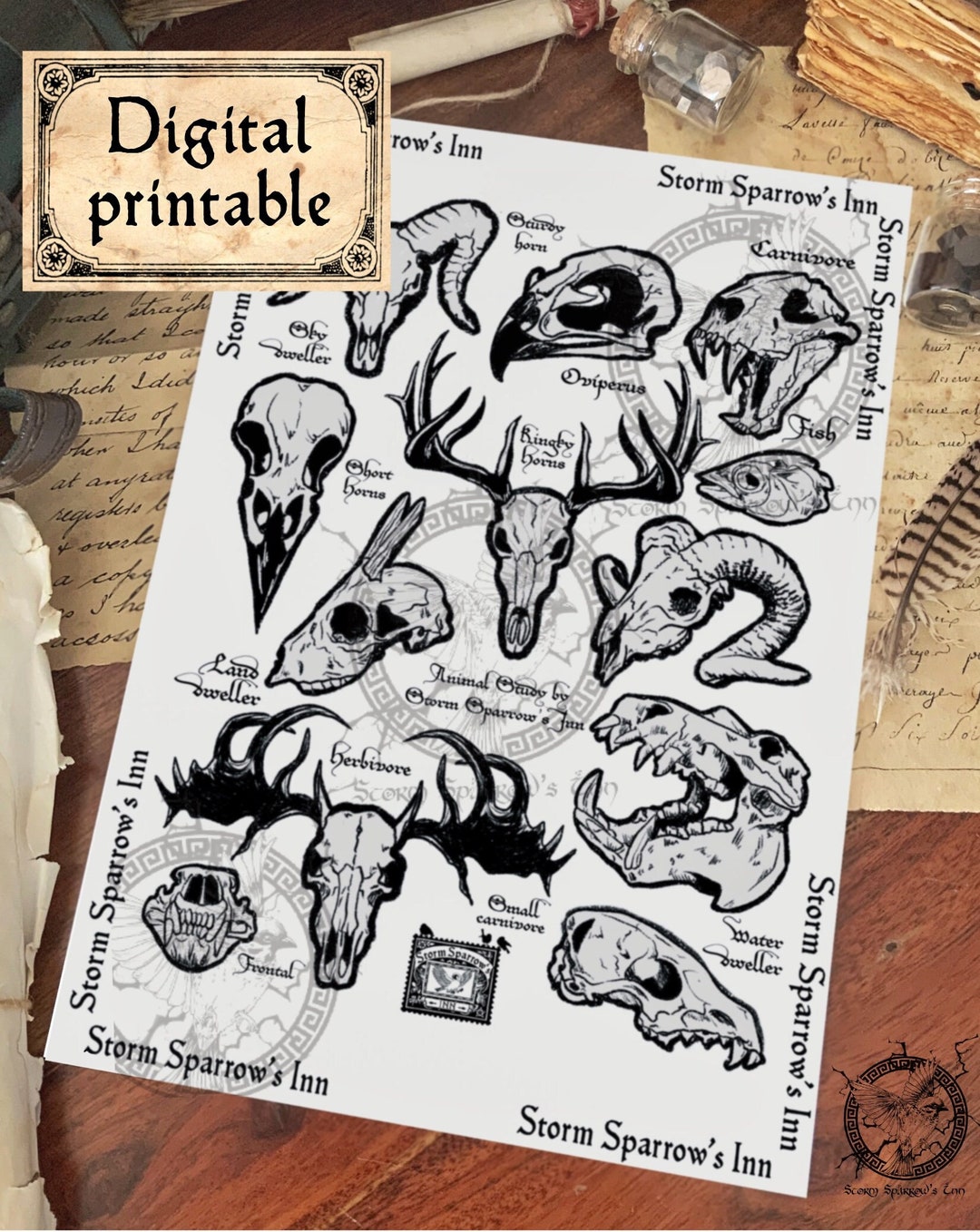 Skull Chart Printable - Etsy