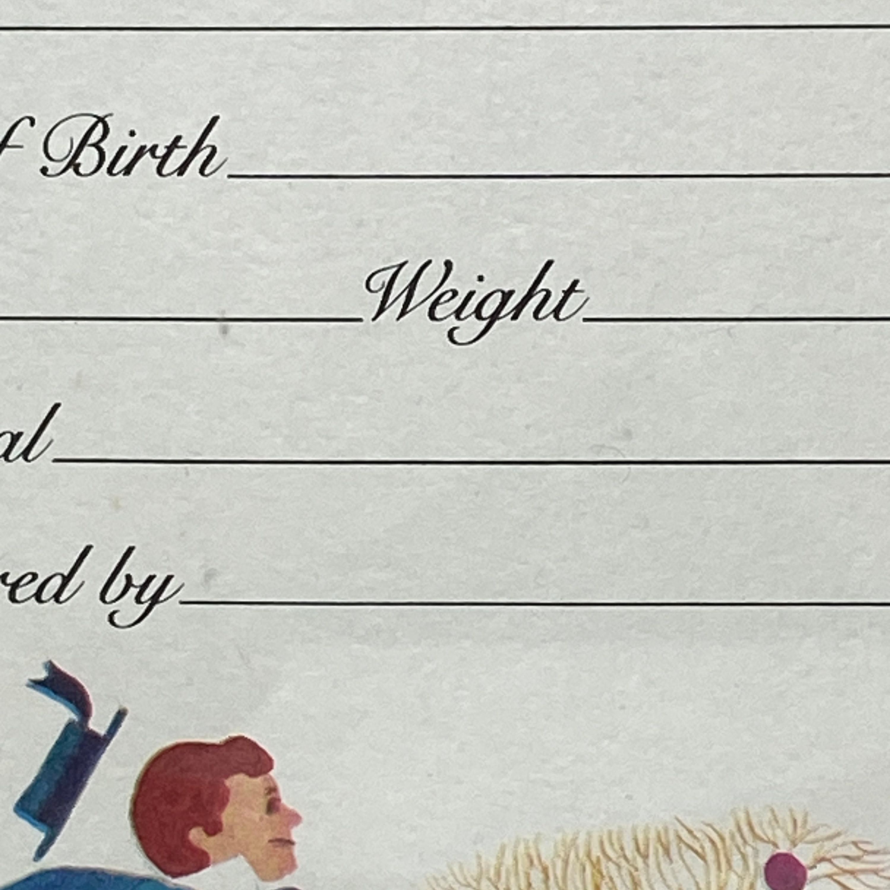 Vintage Baby Birth Record Nursery Rhyme Litho Print Keepsake Art Seiden ...