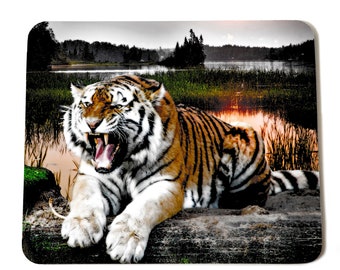 Tiger and Mouse - Etsy