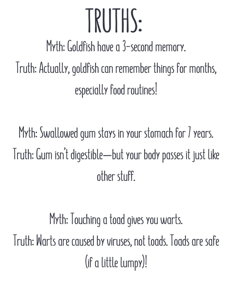 Was That a Lie? Activity – Childhood Myths Edition - Etsy