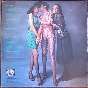 Pointer Sisters - Special Things - 1980 Vintage Vinyl LP - Etsy